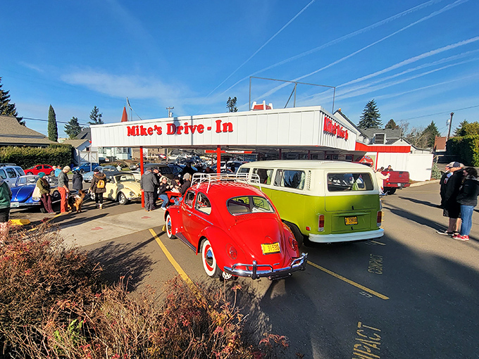 Classic cars line up outside Mike's Drive-In, where vintage vehicles and timeless flavors create the perfect nostalgic afternoon.