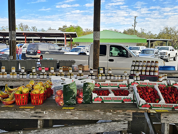 Farm-fresh strawberries, homemade preserves, and local produce await early birds at Webster's Monday market paradise.
