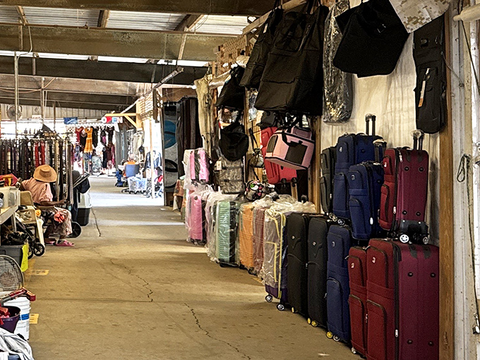 Luggage heaven awaits! At International Market World, your travel dreams and budget constraints finally reach a happy compromise.