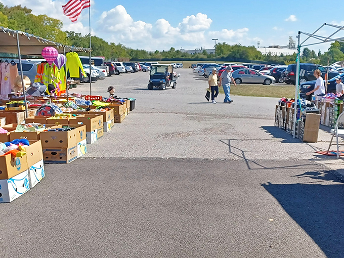 From above, Morning Sun Marketplace resembles a treasure hunter's paradise&mdash;acres of possibility where one person's castoffs become another's prized possessions.