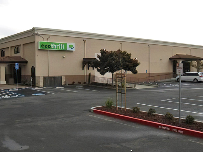 The unassuming exterior of Eco Thrift belies the wonderland within, like finding out your quiet neighbor is secretly a rock star.