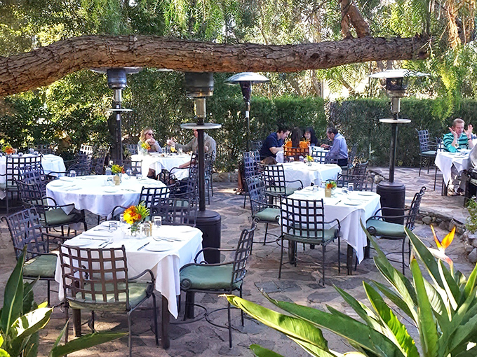 Dappled sunlight transforms this outdoor dining area into California's most enchanting forest feast. White tablecloths amid nature create magical lunch moments.