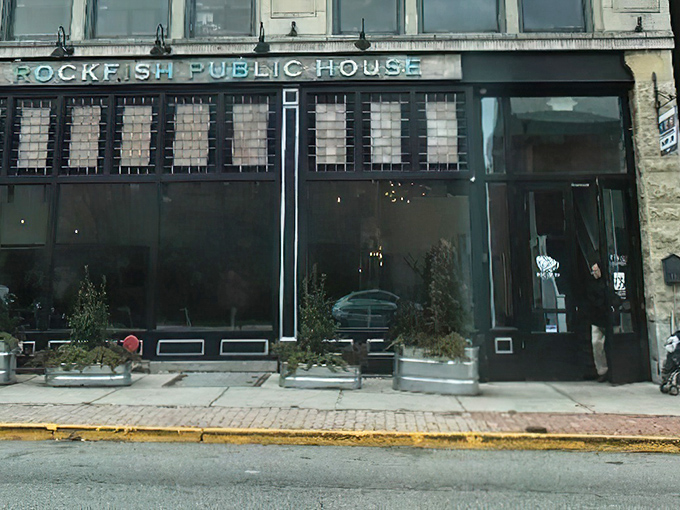 Historic brick and modern design create the perfect backdrop for York's unexpected seafood oasis on North George Street.