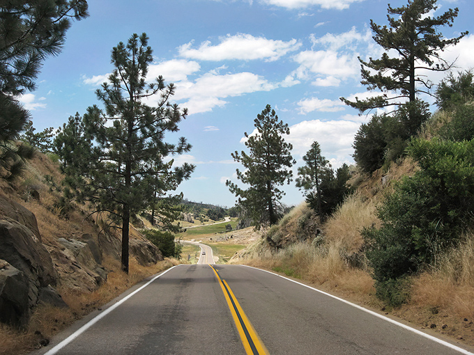 The open road beckons with promises of adventure as Sunrise Highway cuts through golden hills and towering pines. Nature's version of a red carpet.