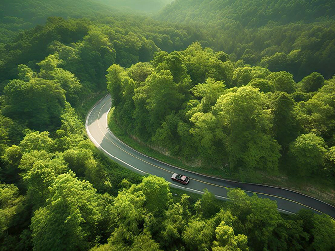 Nature's roller coaster without the ticket price. The Hocking Hills Scenic Byway curves through emerald forests like a ribbon dropped from the sky.