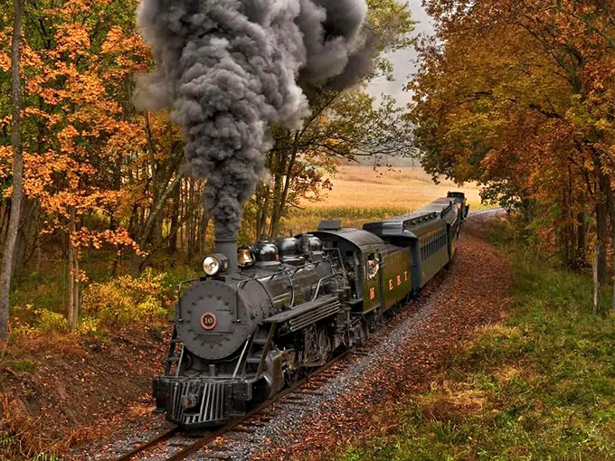 Steam and autumn foliage create nature's perfect partnership as this historic locomotive carves a path through Pennsylvania's vibrant fall landscape.