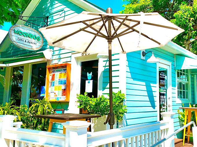 The turquoise charm of Moondog Cafe beckons like a tropical siren song, promising culinary delights under that inviting white umbrella.