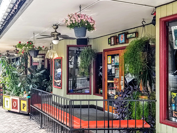The entrance to The TOP is a botanical wonderland, where hanging plants create a lush welcome that whispers, "Yes, we have a green thumb for both plants and flavors."