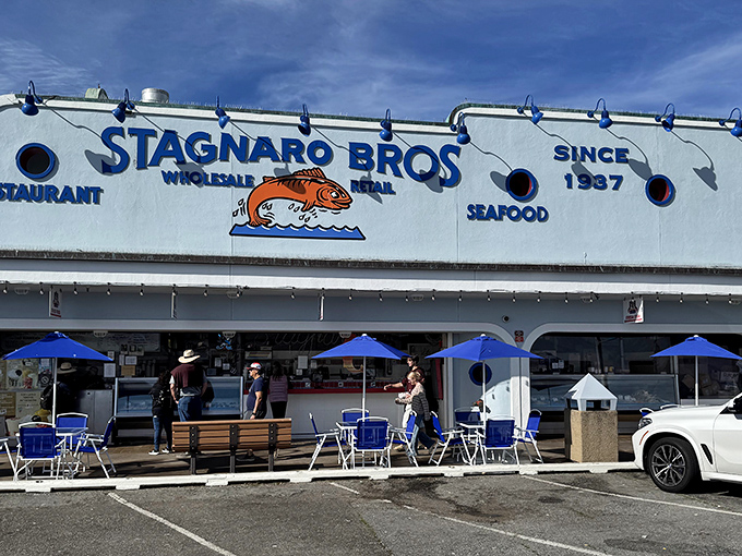 Blue umbrellas and ocean views &ndash; this is what California dreaming actually looks like in real life.