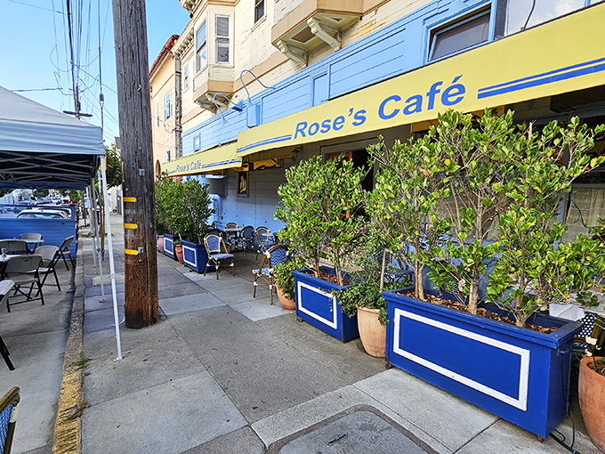 Rose's Cafe brings a slice of European charm to San Francisco with its cheerful yellow awnings and blue-trimmed planters. Sidewalk seating that whispers, "Slow down and stay awhile."