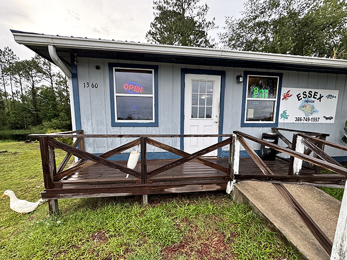 The unassuming blue exterior of Essex Seafood House proves once again that culinary treasures often hide in plain sight.