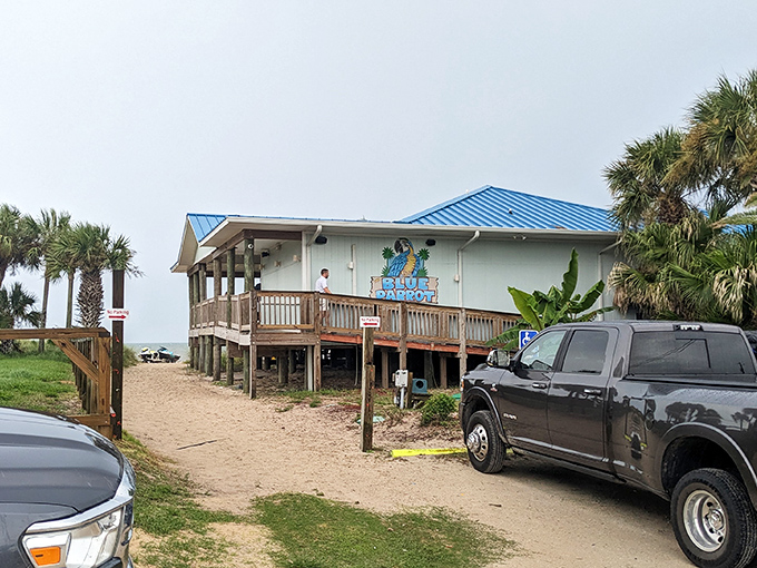 The iconic blue roof of the Blue Parrot beckons beach lovers like a maritime lighthouse for the hungry. Paradise found, sandy paths included.
