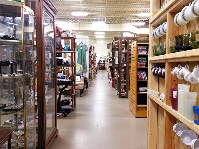 Narrow aisles stretch between shelves of glassware, books, and collectibles. This indoor treasure trove is packed with vintage finds, each corner holding something unexpectedly charming.