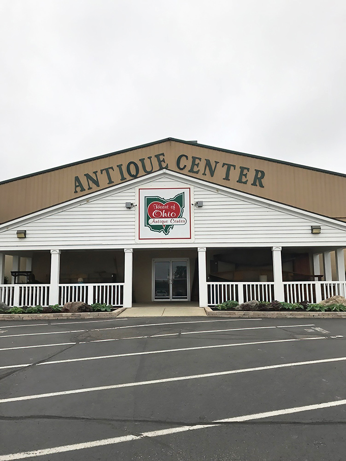 A treasure hunter's paradise where vintage cabinets stand guard over collections of crystal, porcelain, and that mysterious raccoon sculpture you didn't know you needed.