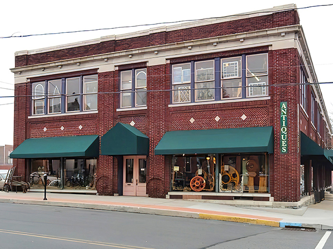 Welcome to organized chaos, where every shelf holds someone's forgotten treasure waiting for its comeback tour.