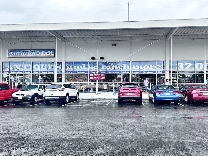 The unassuming storefront hides a universe of treasures within. Like finding a portal to the past in a strip mall.