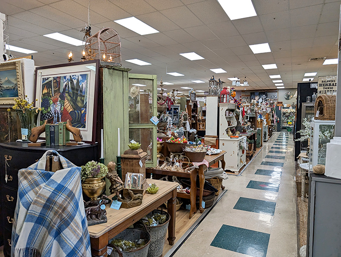 Down the rabbit hole of nostalgia &ndash; each booth at Antique Trove creates its own little world where vintage treasures await, all arranged in a carefully curated chaos.