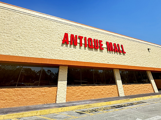 This unassuming storefront holds more treasures than a pharaoh's tomb, minus the mummy curses.