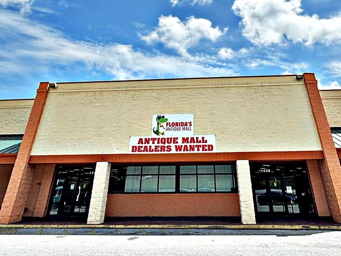 This unassuming storefront holds more treasures than a pharaoh's tomb, minus the mummy curses.