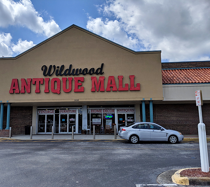 Endless aisles of possibility stretch before you like a time-traveler's highway. Every booth holds someone's past waiting to become part of your future.