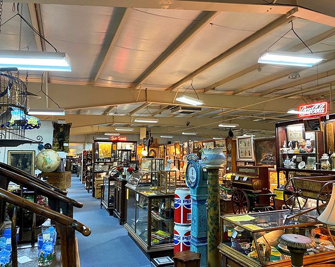 Aisles of wonder stretch before you like a museum where everything's for sale. History displayed under fluorescent lights never looked so inviting.