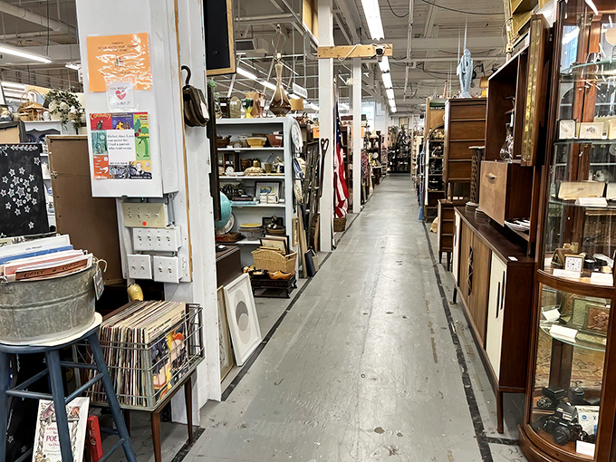 Welcome to wonderland &ndash; where ivy hugs brick and treasures await behind those inviting glass doors.