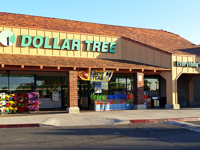 The iconic green signage of Dollar Tree in Clovis beckons like a siren song to bargain hunters. Who knew paradise had a brick facade and fluorescent lighting?