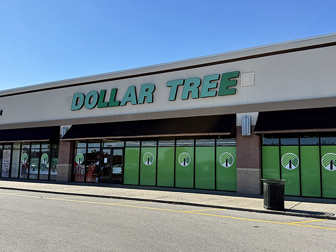 Awash in the signature green branding, this Dollar Tree storefront stands ready to transform shopping lists into affordable reality.