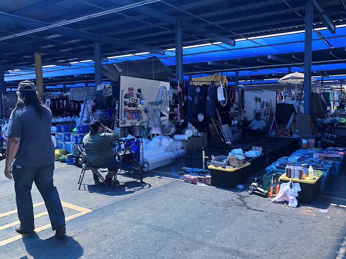 Phoenix Park 'n Swap - Where kettle corn dreams and automotive schemes collide under Arizona's endless blue sky.