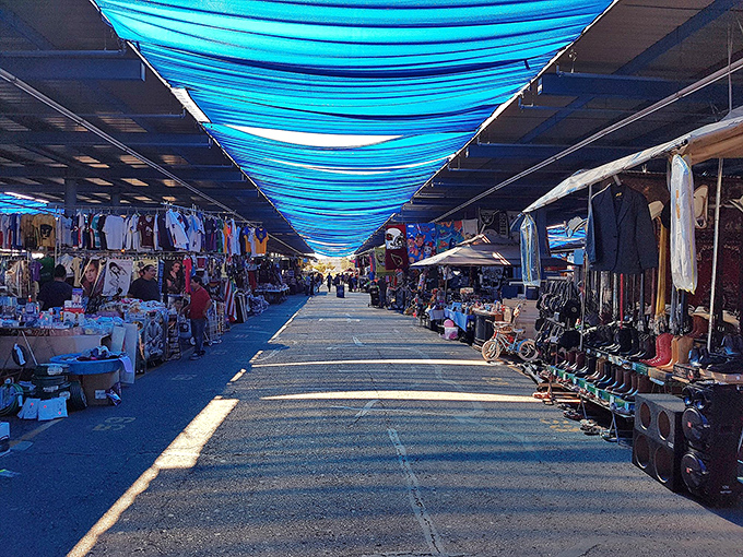 The iconic blue canopies create a river of shade through the market, turning Arizona's harsh sun into a gentle, shopping-friendly microclimate.