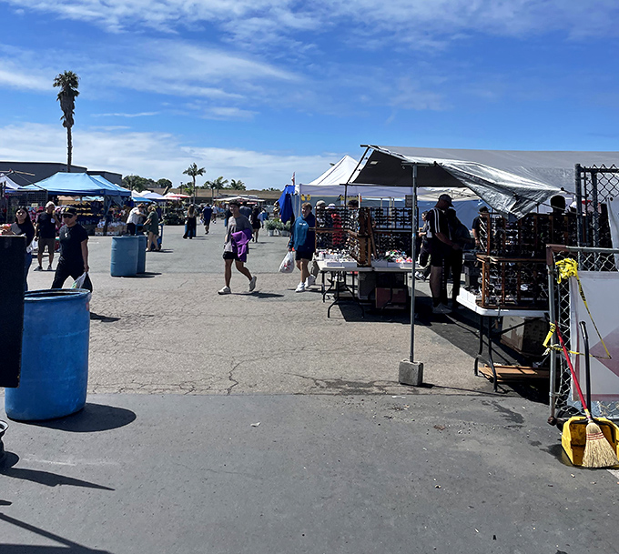 Welcome to bargain paradise! Under the San Diego sun, vendors and treasure hunters converge at National City Swap Meet, where every aisle promises discovery.