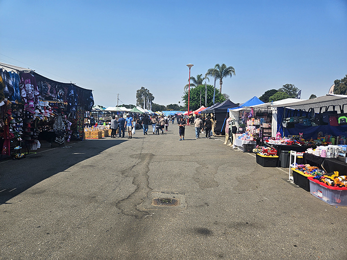 The bustling main aisle of Nipomo Swap Meet stretches before you like a treasure map waiting to be explored.
