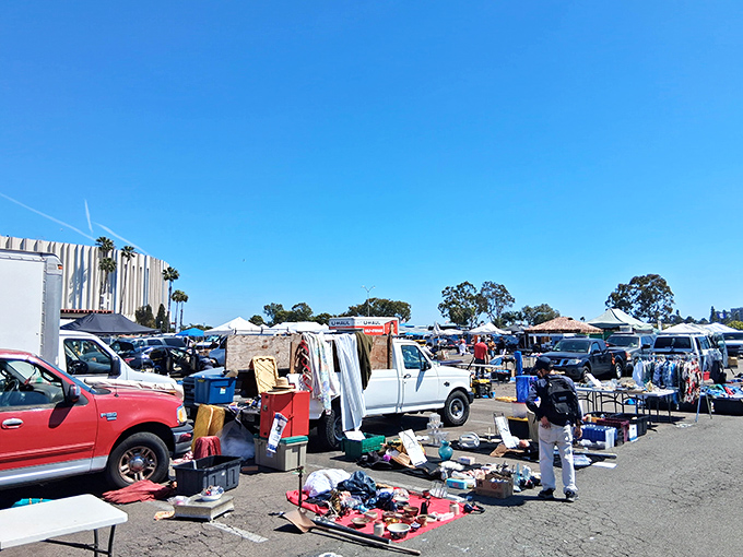 The Sports Arena parking lot transforms into a treasure hunter's paradise every weekend, with California sunshine as the perfect shopping companion.