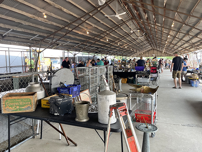 Under metal pavilions, treasure hunters scan tables loaded with vintage finds&mdash;where yesterday's everyday items become tomorrow's conversation pieces.