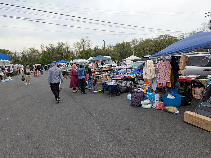 The outdoor section of North Point Plaza Flea Market buzzes with weekend treasure hunters scouring tables for that perfect find.
