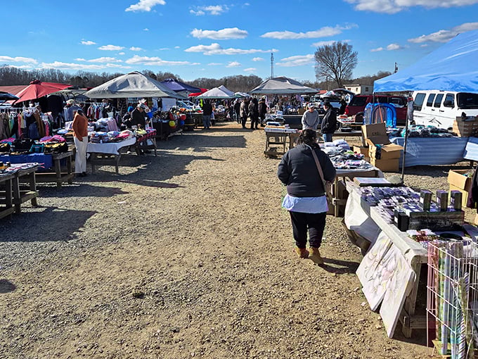 The treasure hunter's highway stretches before you at Webb Road Flea Market, where one person's castoffs become another's prized discoveries.