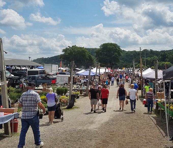 The indoor corridors of Rogers Flea Market buzz with treasure hunters on the prowl. Every aisle promises discoveries that'll have you texting photos to jealous friends.