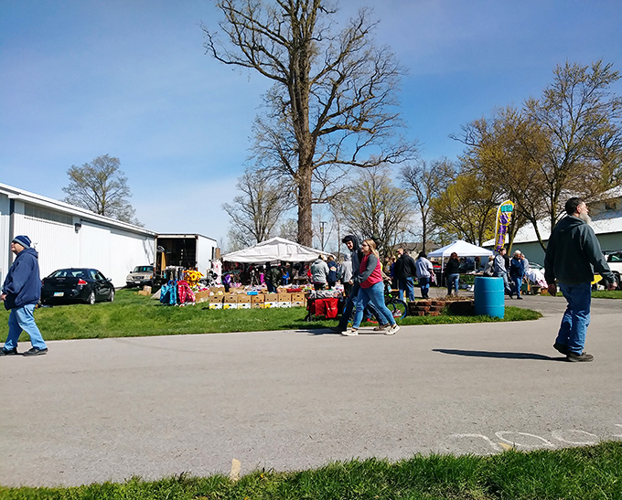 The fairgrounds transform into a treasure hunter's paradise on market days. Food trucks and white buildings create the perfect backdrop for discovery.