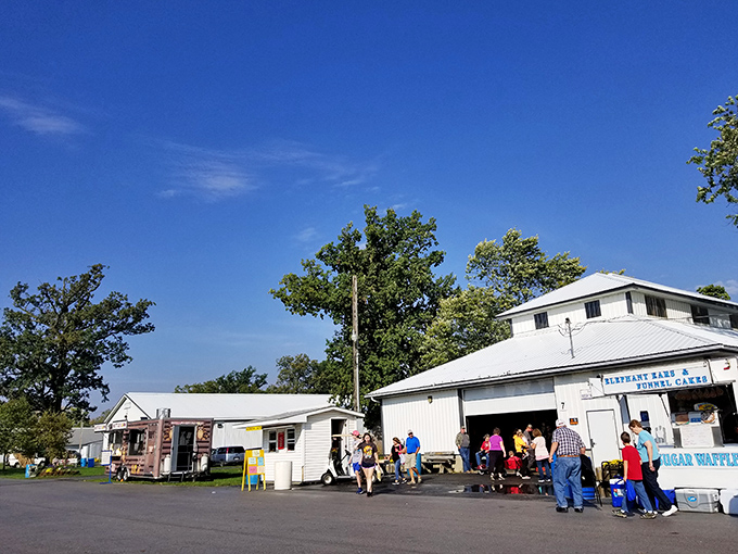 Blue skies and treasure hunting go hand in hand at Tiffin Flea Market, where rows of tables await under pop-up canopies and the promise of discovery hangs in the air.