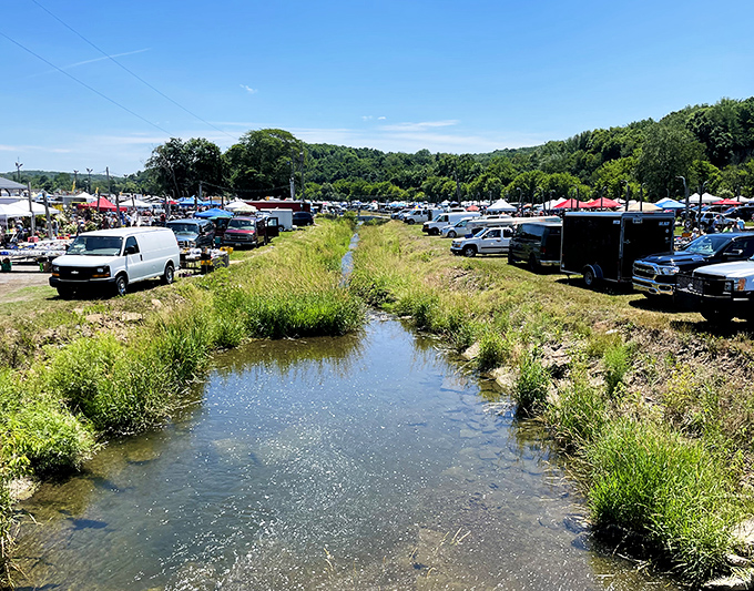 The sprawling landscape of Rogers Flea Market stretches toward the horizon, where cars and tents create a temporary city of treasures every Friday.