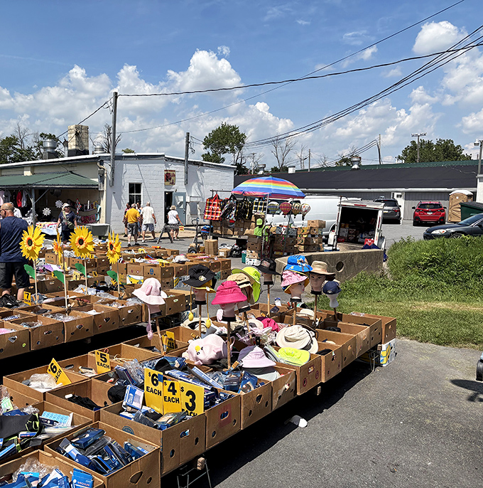 At Green Dragon Market&rsquo;s outdoor vendor alley, bargain hunters sift through rows of hidden gems under the summer sun.