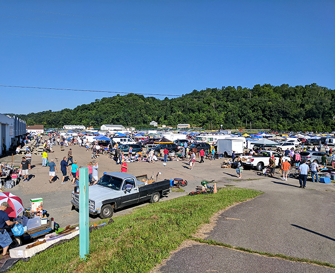 The aerial view that makes first-timers gasp. From this vantage point, you realize you might need to cancel your afternoon plans.