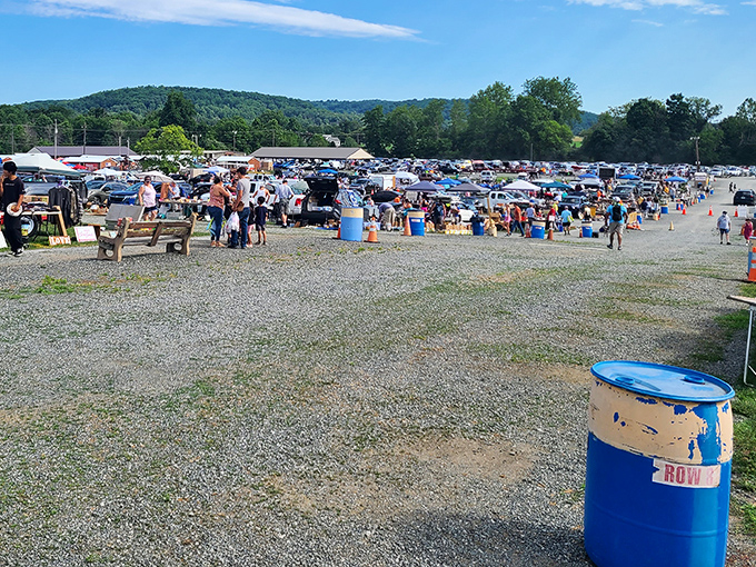 The treasure hunt begins! Rows of vendors stretch across Jake's 30-acre wonderland in Barto, where one person's castoffs become another's prized possessions.