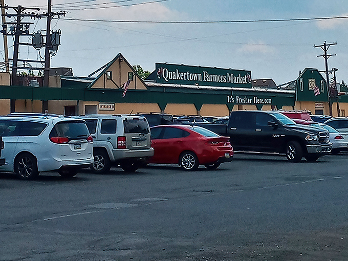 The green-and-tan facade promises adventures that'll leave your wallet lighter but your spirits soaring.