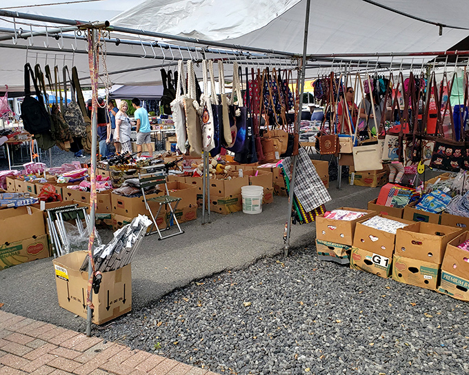 When treasure hunting meets organized chaos, you get this wonderland where every cardboard box holds potential magic.