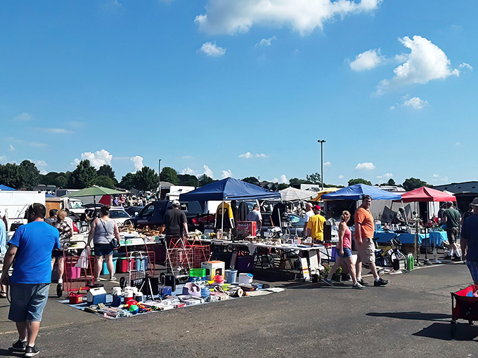 The outdoor flea market buzzes with treasure hunters on a perfect Ohio day. Somewhere between these tables lies the vintage salt shaker of your dreams.