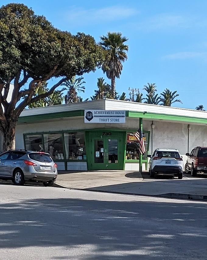 Palm trees frame this unassuming thrift paradise like nature's own exclamation points saying, "Incredible deals inside!"