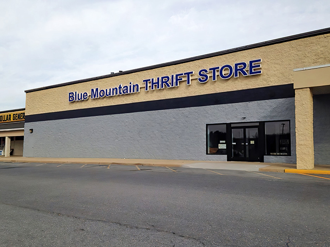 The iconic blue lettering against the yellow building serves as a beacon for bargain hunters across Palmyra. Welcome to treasure island!