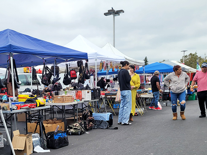 The weekend treasure hunt begins! Shoppers navigate the colorful maze of canopies at Oakland's beloved bargain bazaar, where one person's castoffs become another's prized finds.