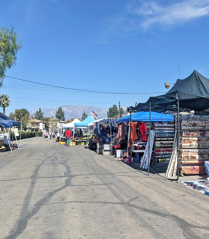 Permanent stalls line the walkways, creating a retail labyrinth where each turn might reveal that perfect something you never knew you needed.